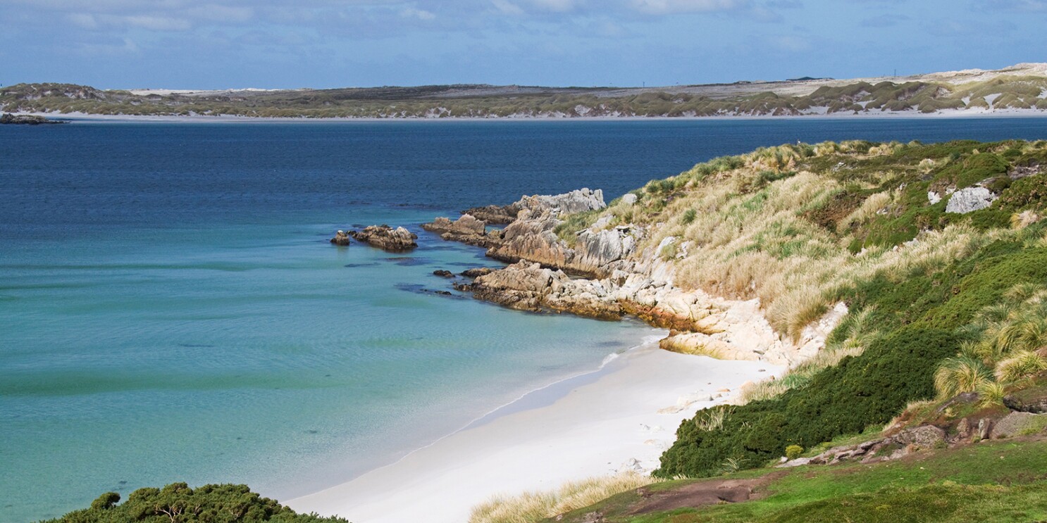 Gypsy Cove and Yorke Bay • Falkland Islands Tours and Travel